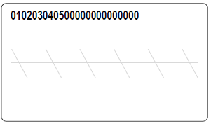 Sample RFID Label Formats