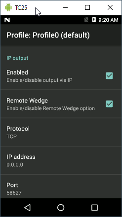 Configure Auto Enter via Advanced Data Formatting