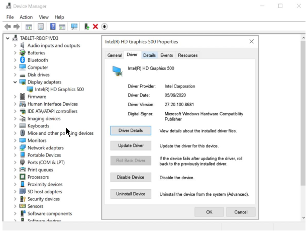 Display Adapter Driver Update from Intel Download
