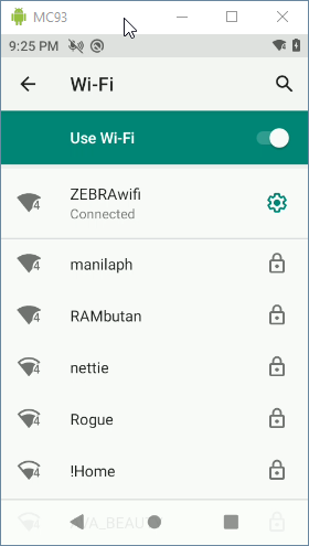 Android 10: Connect To A Hidden Network