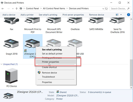 Print RAW File From CMD