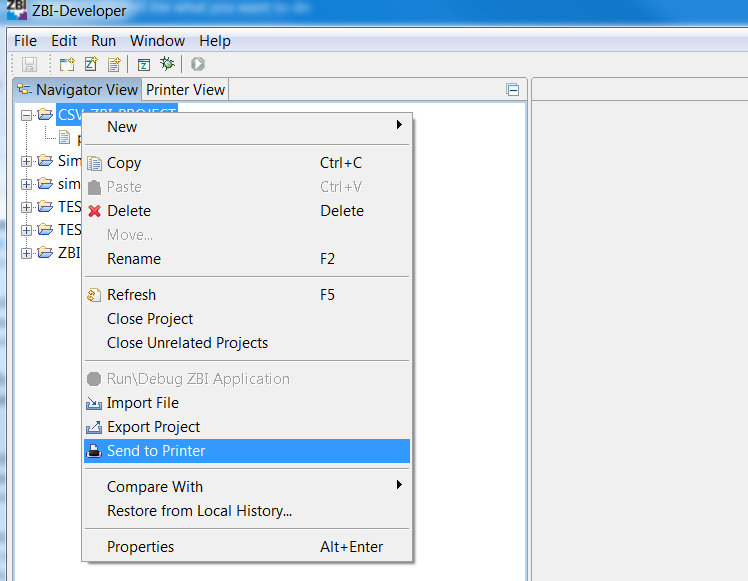 Speichern von CSV-Dateien auf dem Drucker mit ZBI Developer